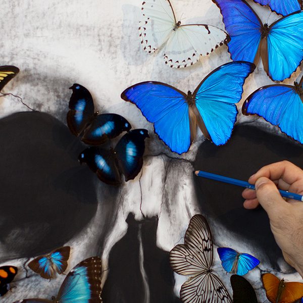 What Is Butterfly Wall Art? - SN ARTS
